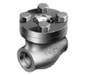 Wrought steel check valve - class 800 FLOWSERVE